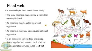 Trophic levels and energy variation with increasing trophic levels.food ...