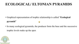 Trophic levels and energy variation with increasing trophic levels.food ...