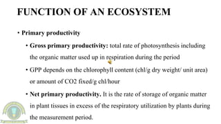 Trophic levels and energy variation with increasing trophic levels.food ...