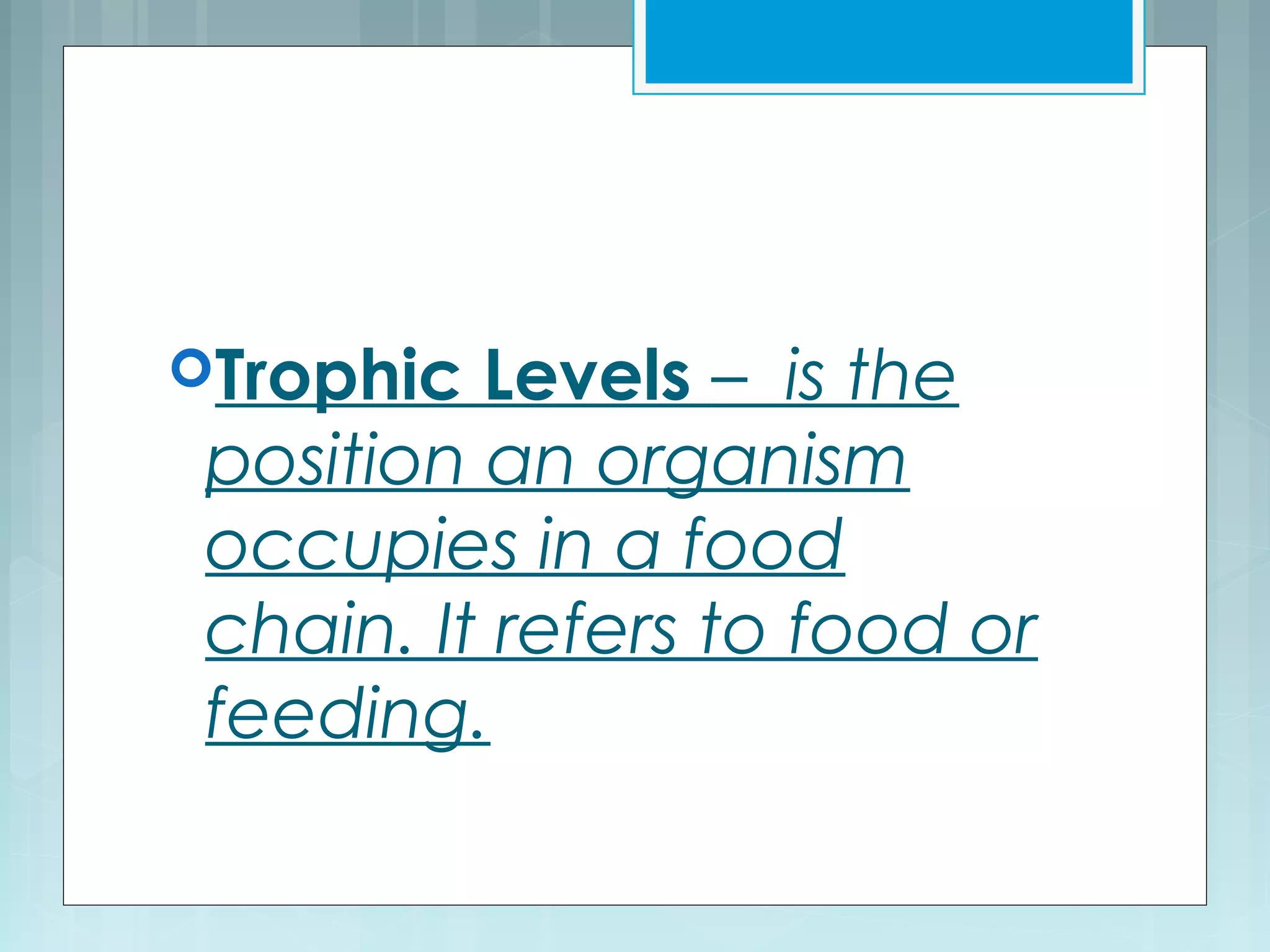 Trophic levels energy and pyramids | PPT