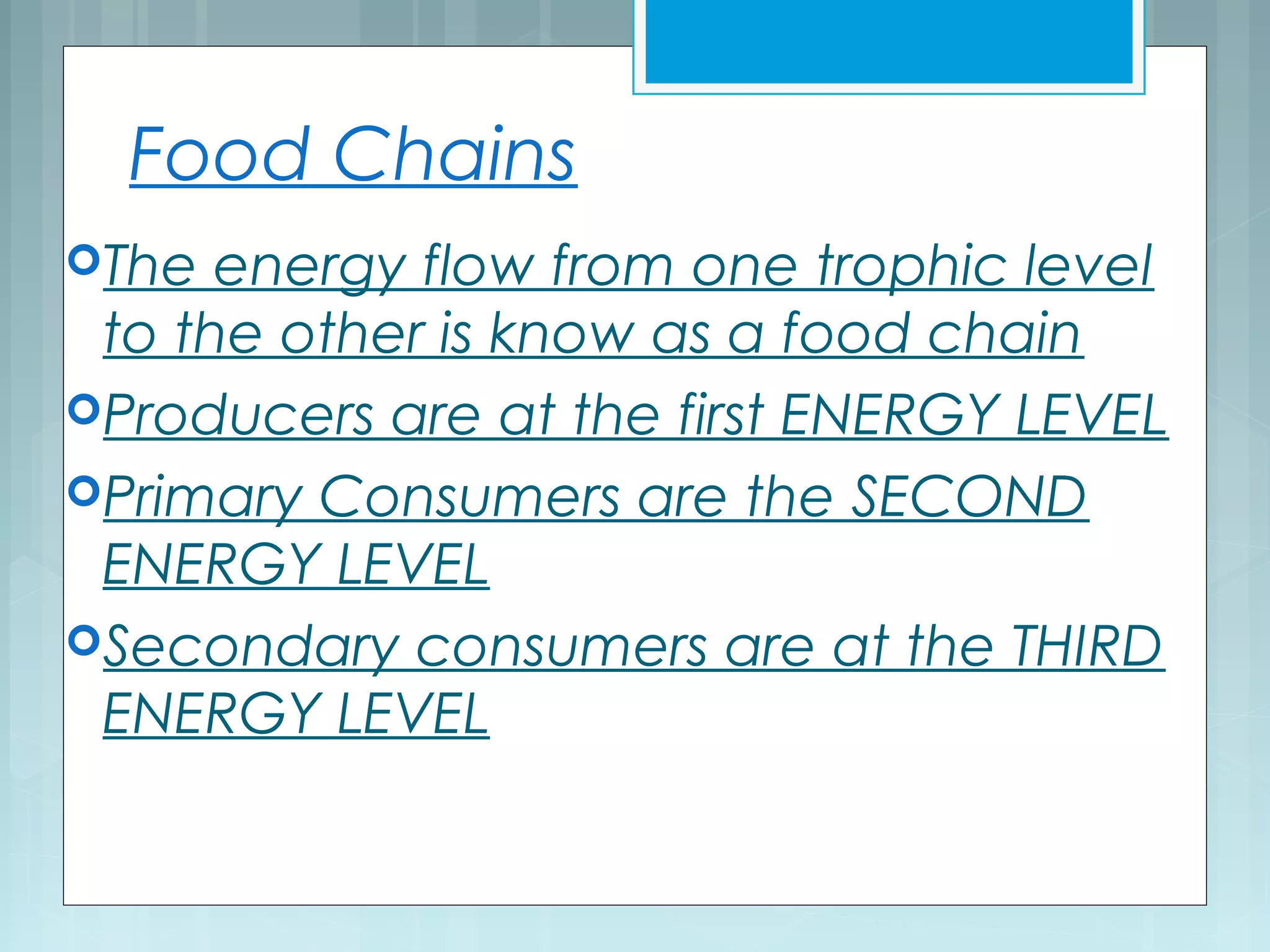 Trophic levels energy and pyramids | PPT