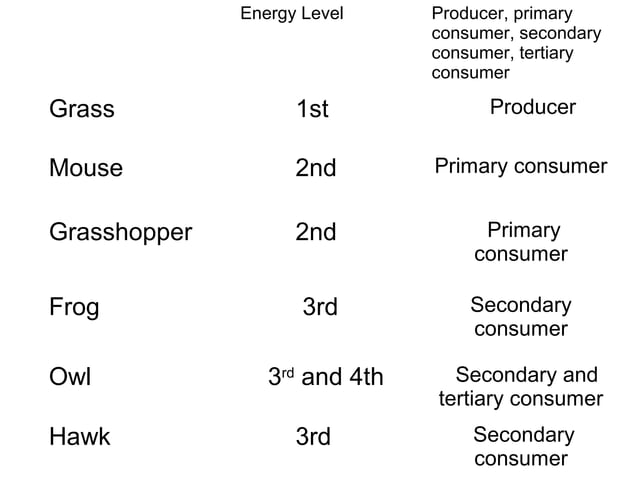 Trophic levels energy and pyramids | PPT