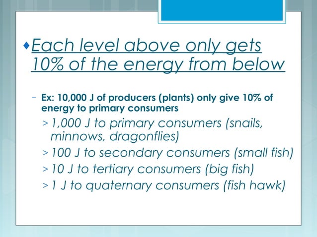 Trophic levels energy and pyramids | PPT