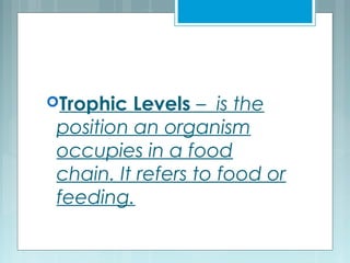 Trophic levels energy and pyramids | PPT