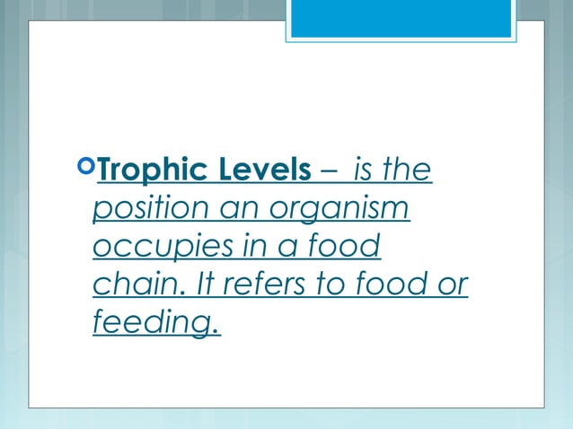 Trophic levels energy and pyramids | PPT
