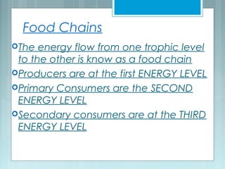 Trophic levels energy and pyramids | PPT