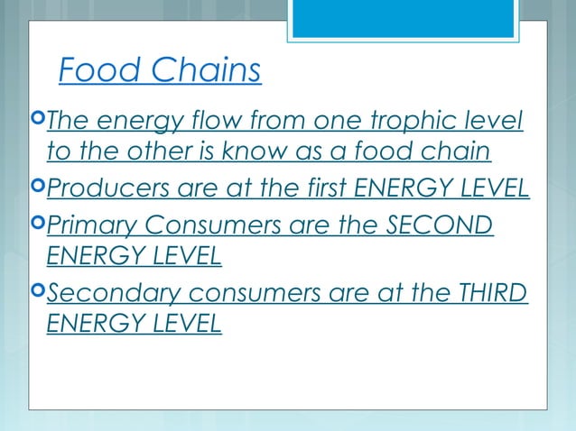 Trophic levels energy and pyramids | PPT