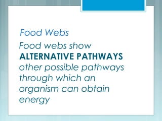 Trophic levels energy and pyramids | PPT
