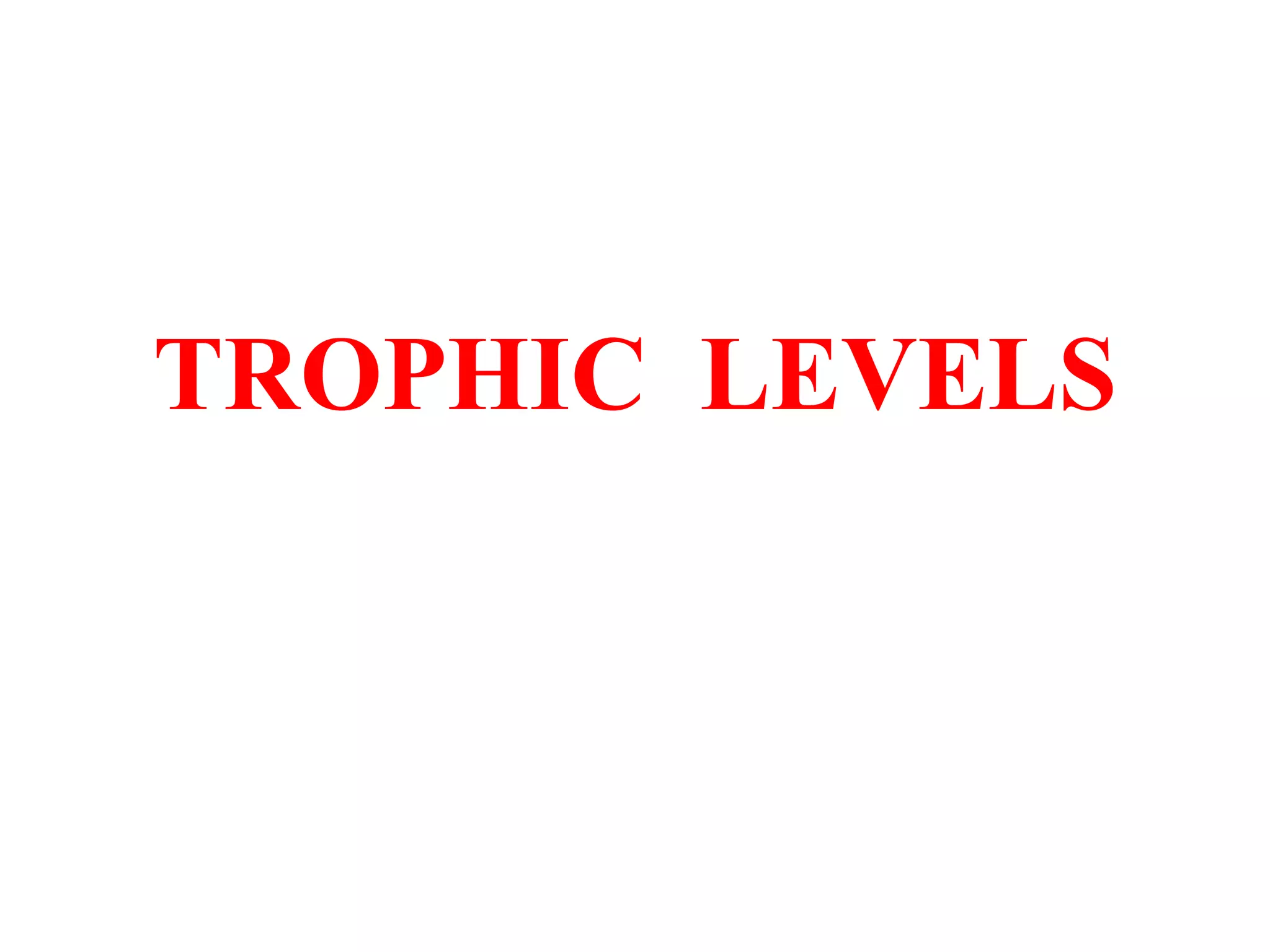 Trophic levels std 8 lp2 | PPTX