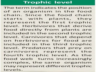 Trophic levels std 8 lp2 | PPTX
