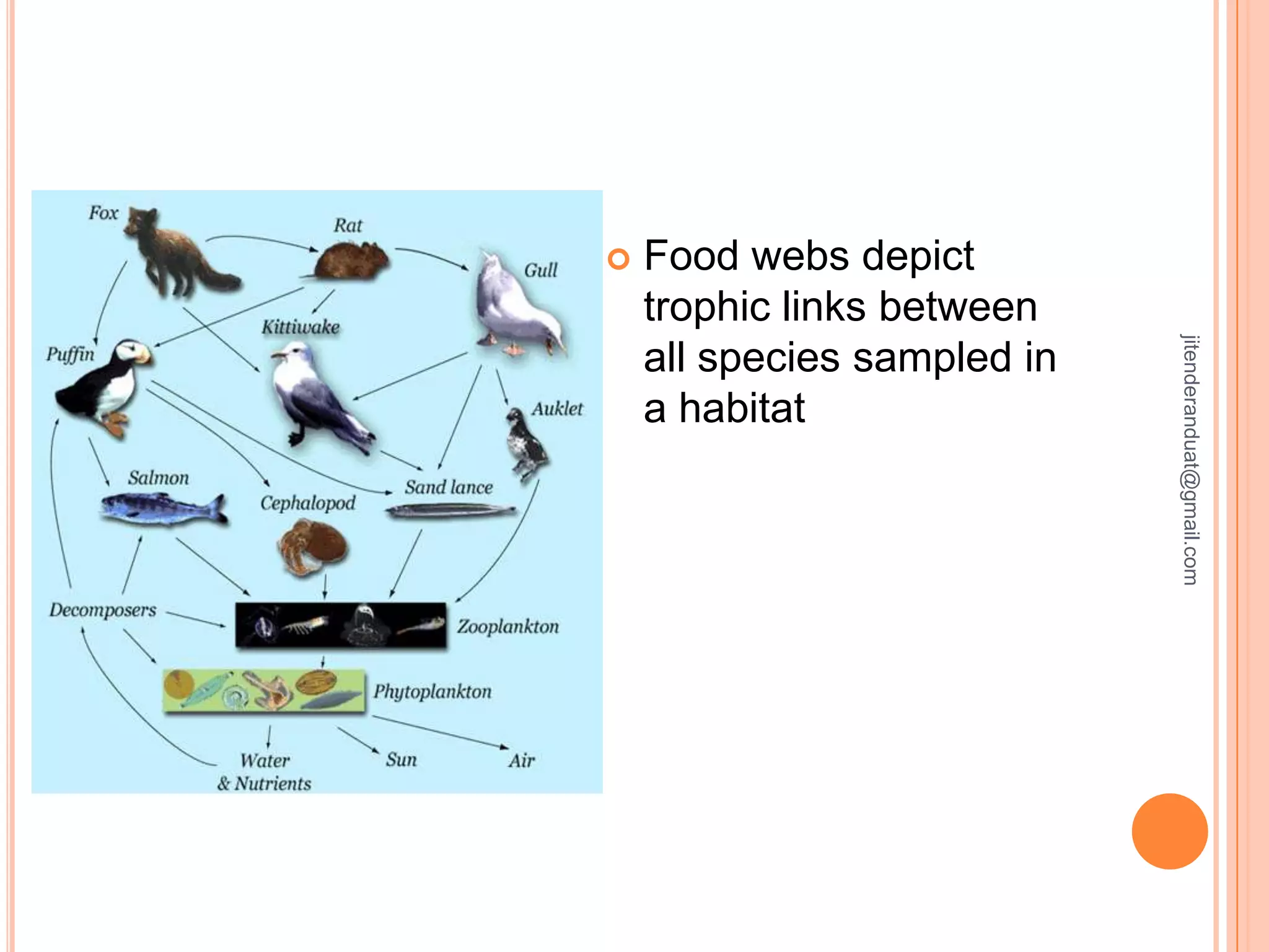 Trophic relationships in wetland ecosystem | PPTX