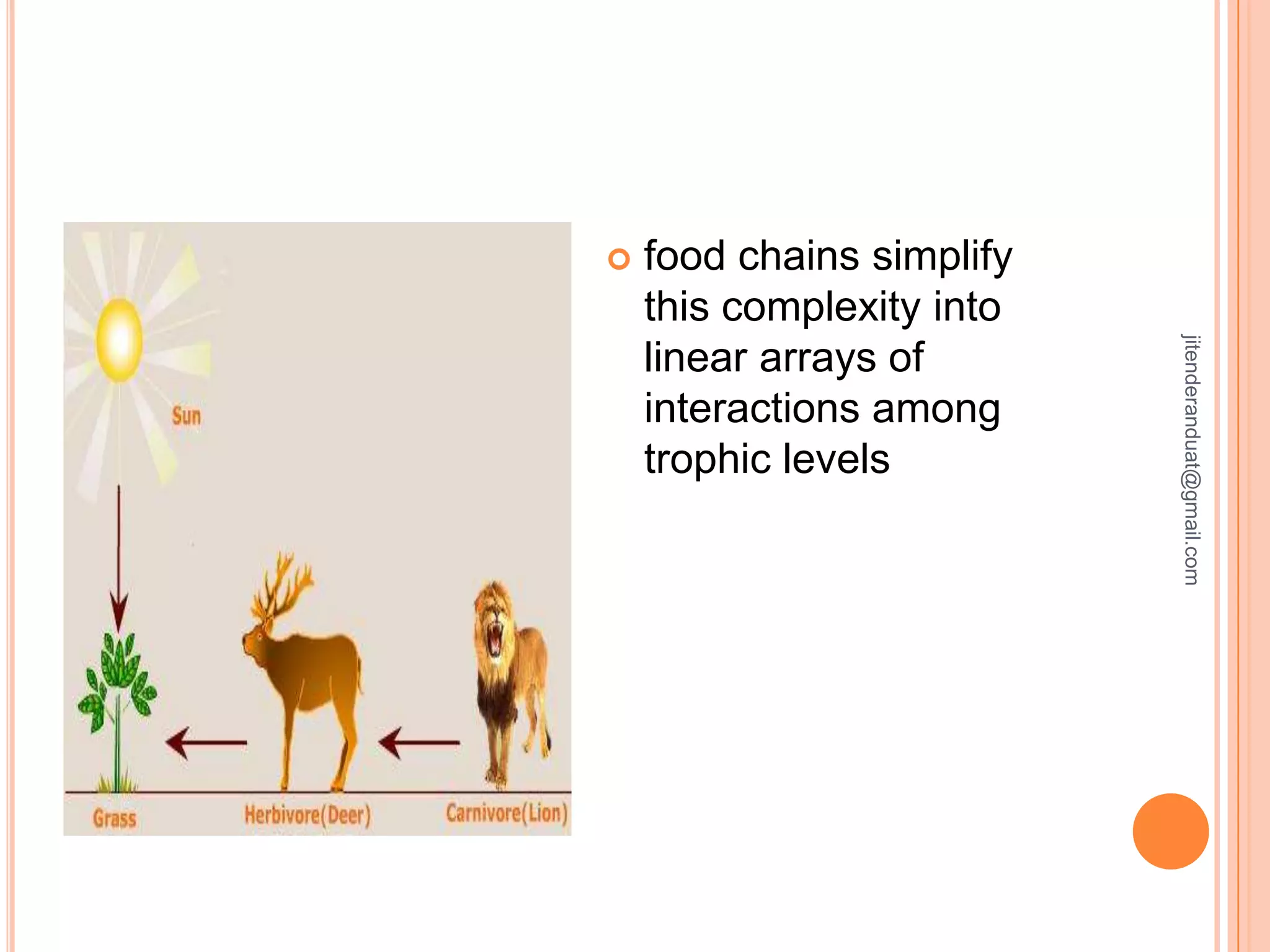 Trophic relationships in wetland ecosystem | PPTX