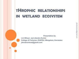 Trophic relationships in wetland ecosystem | PPTX