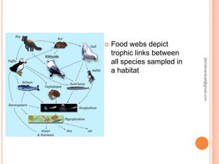 Trophic relationships in wetland ecosystem | PPTX