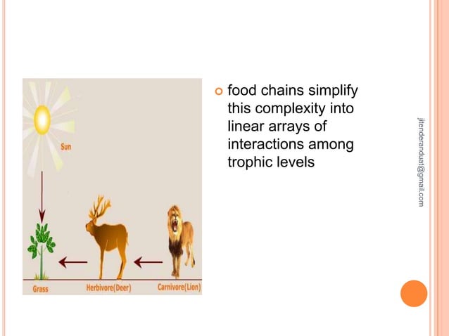 Trophic relationships in wetland ecosystem | PPTX