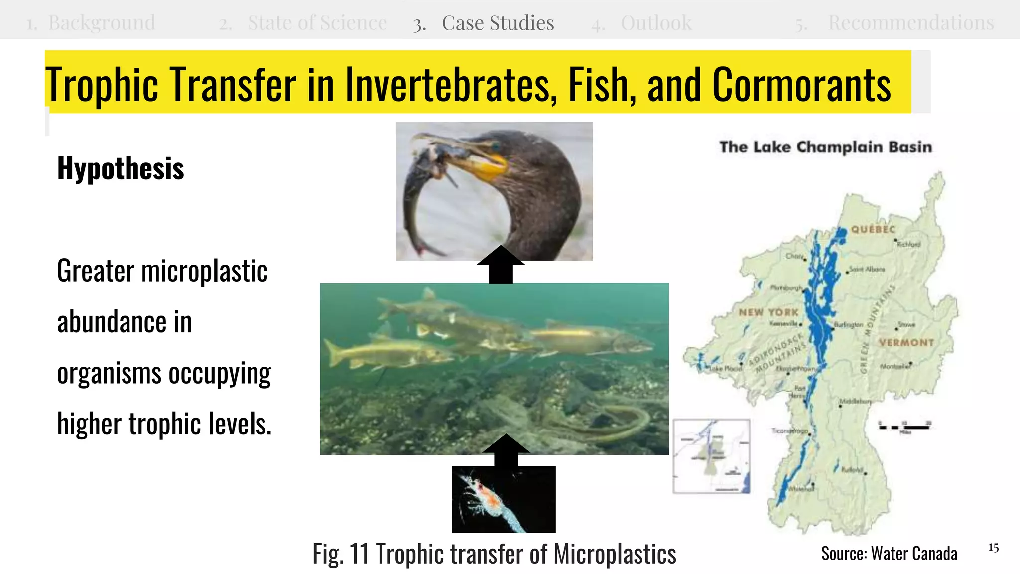 Trophic transfer of microplastics | PPTX