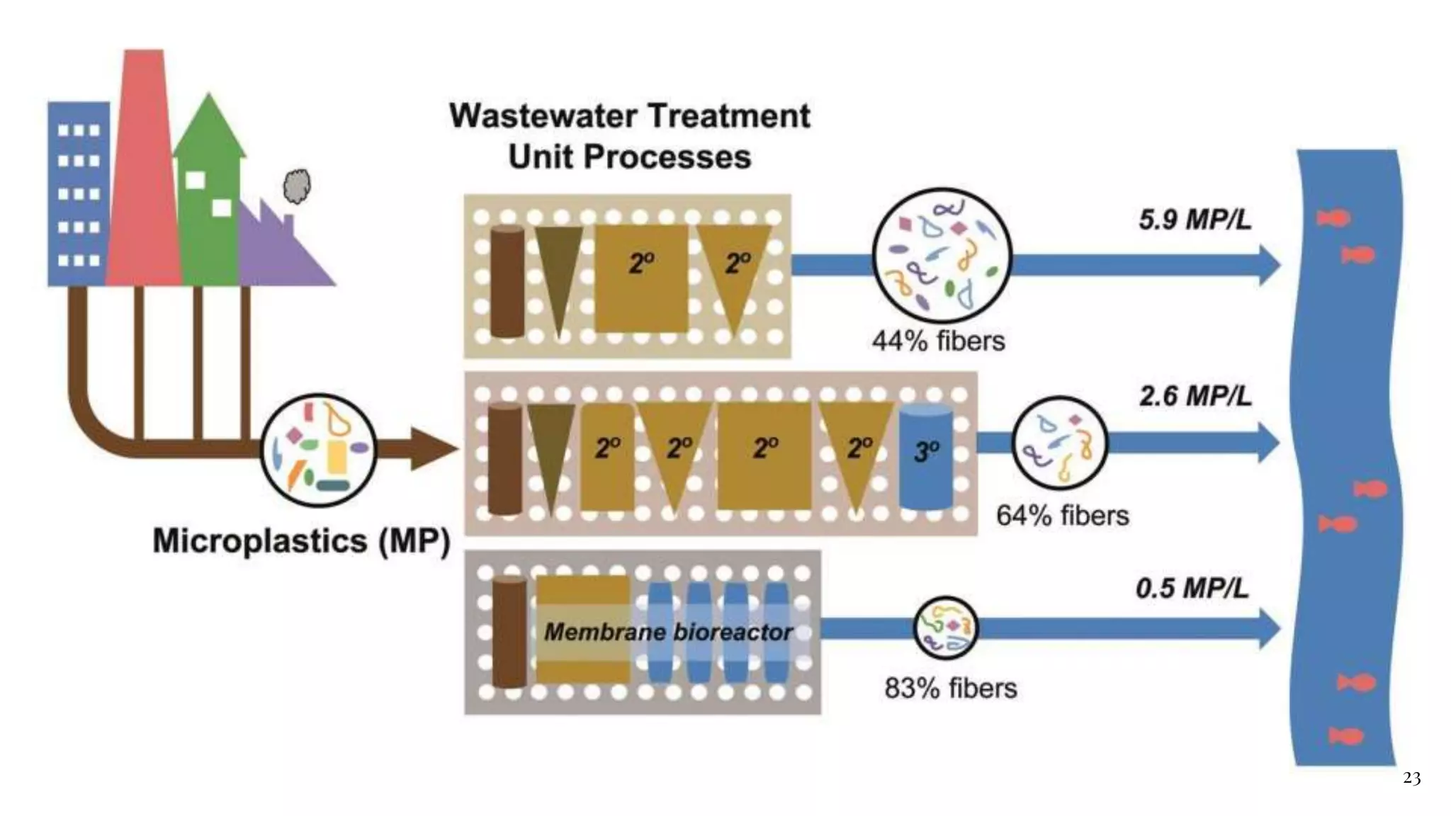 Trophic transfer of microplastics | PPTX