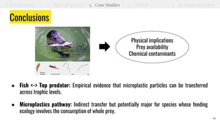 Trophic transfer of microplastics | PPTX