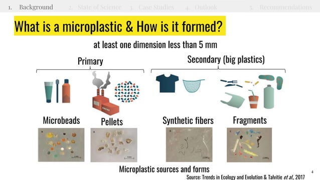 Trophic transfer of microplastics | PPTX | Fish and Aquariums | Pets