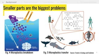 Trophic transfer of microplastics | PPTX | Fish and Aquariums | Pets