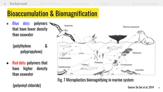 Trophic transfer of microplastics | PPTX