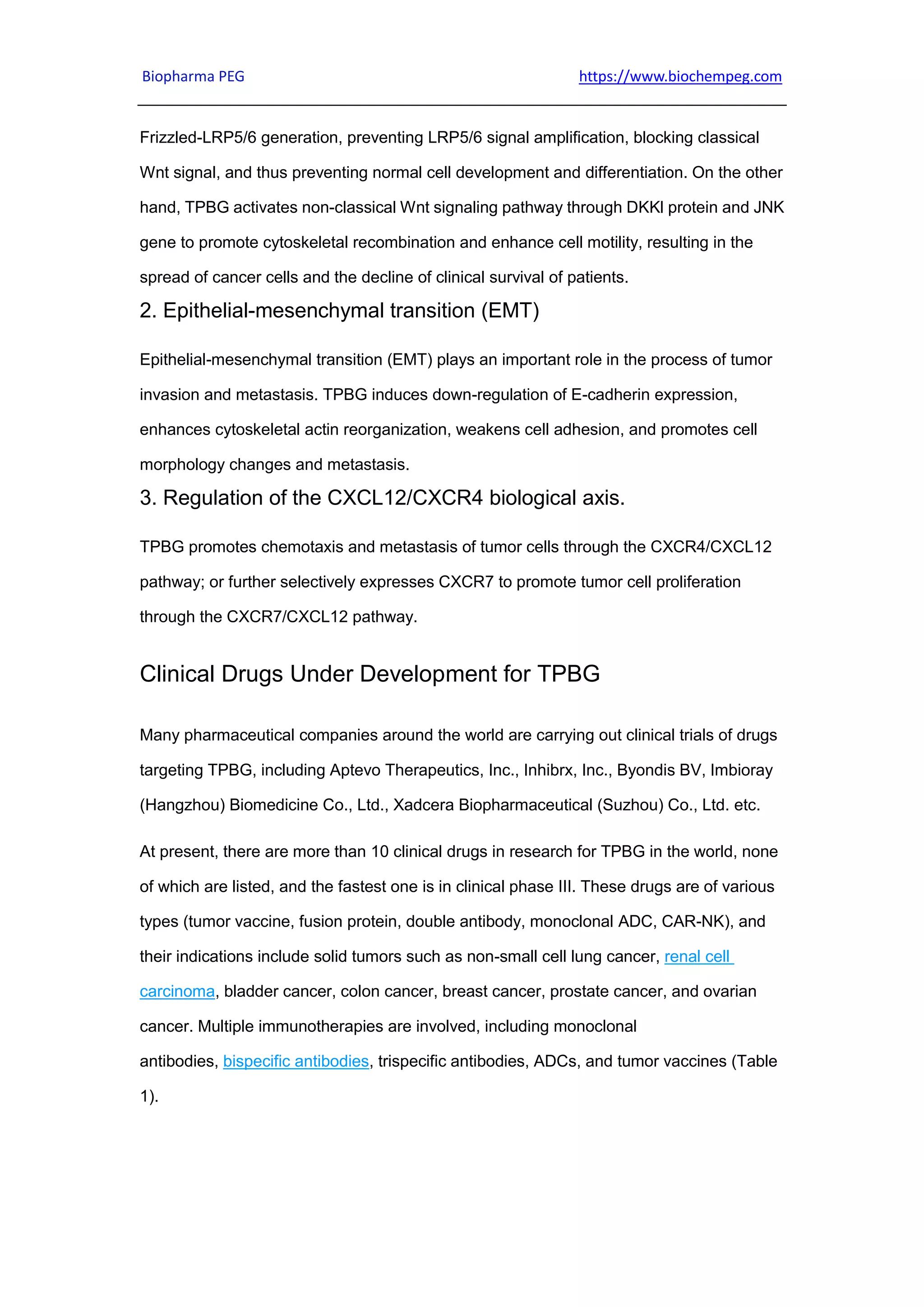 Trophoblast Glycoprotein (TPGB5T4) A New Target For ADC Drugs.pdf | Cancer | Diseases and Conditions
