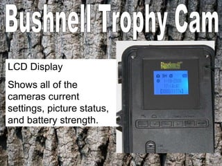 Bushnell Trophy Cam Review | PPT