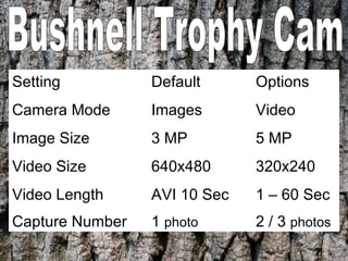 Bushnell Trophy Cam Review | PPT