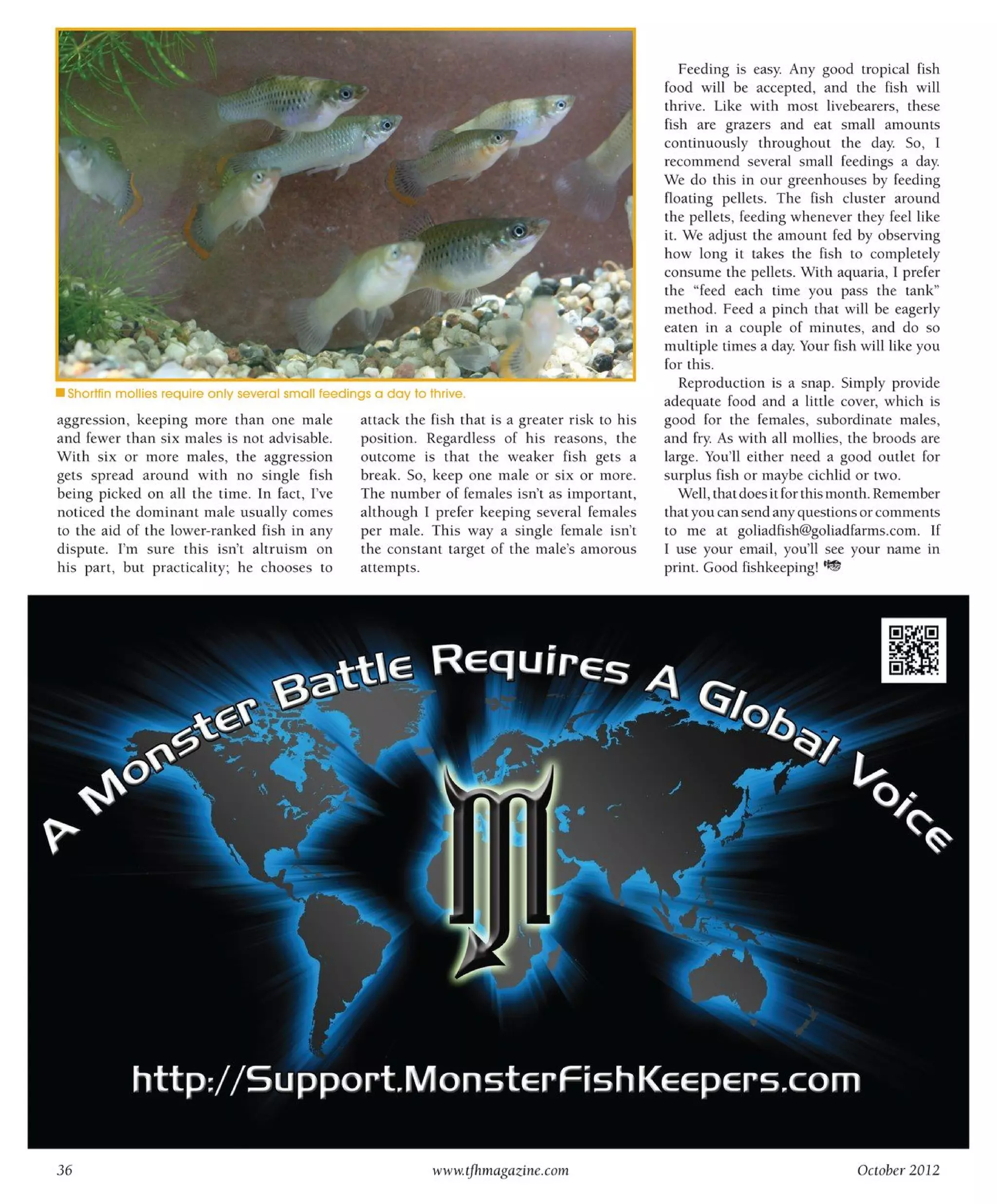 Tropical fish hobbyist october 2012 | PDF