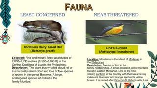 tropical-amazon-rainforest-MAYCEL.pptx