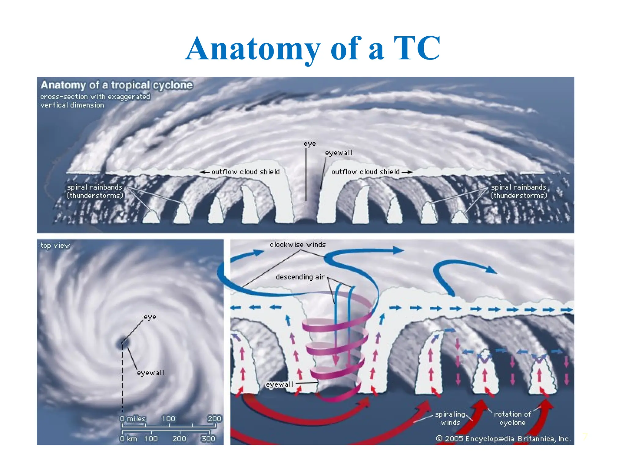 Cyclone, causes, types, Tropical Cyclone | PPTX