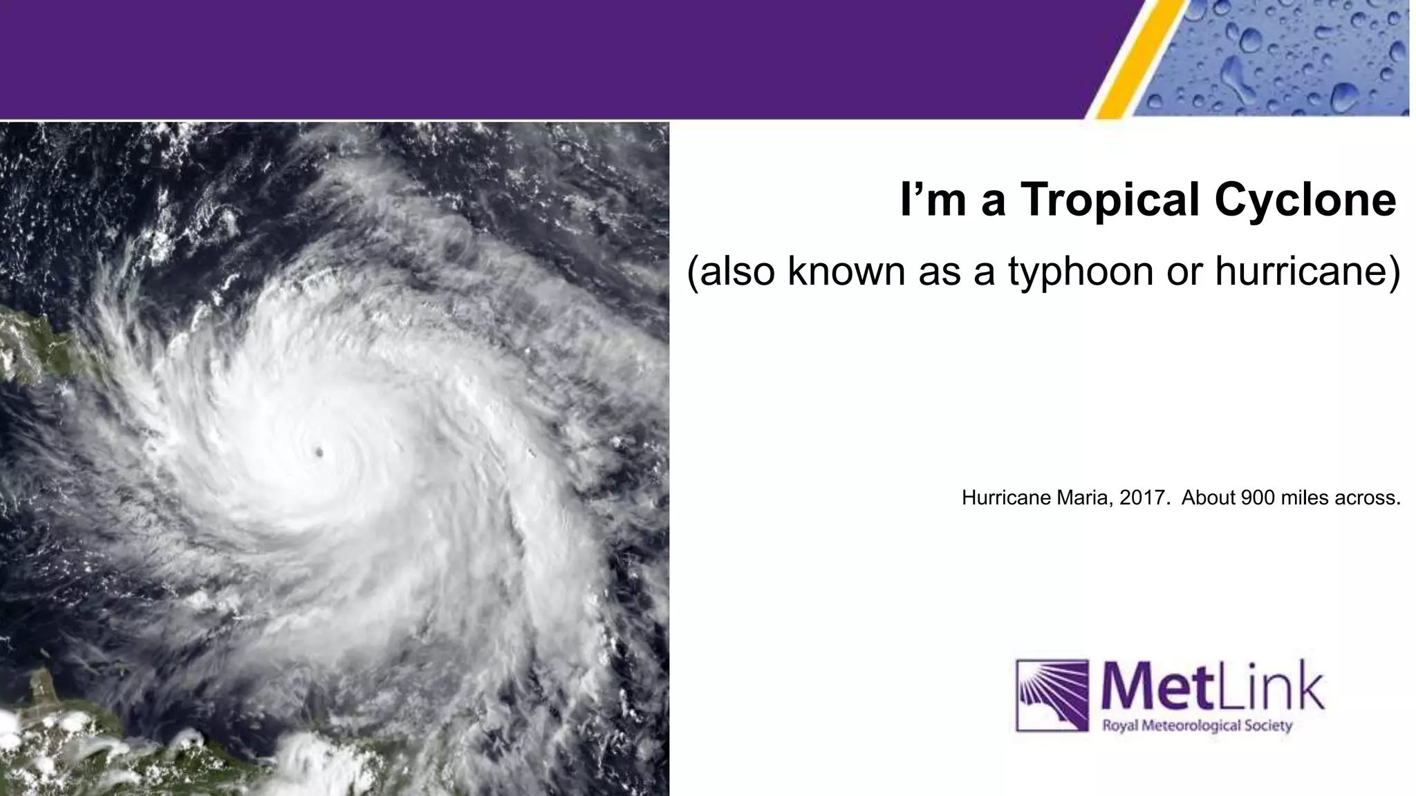 Tropical-cyclones-the-basics.pptx