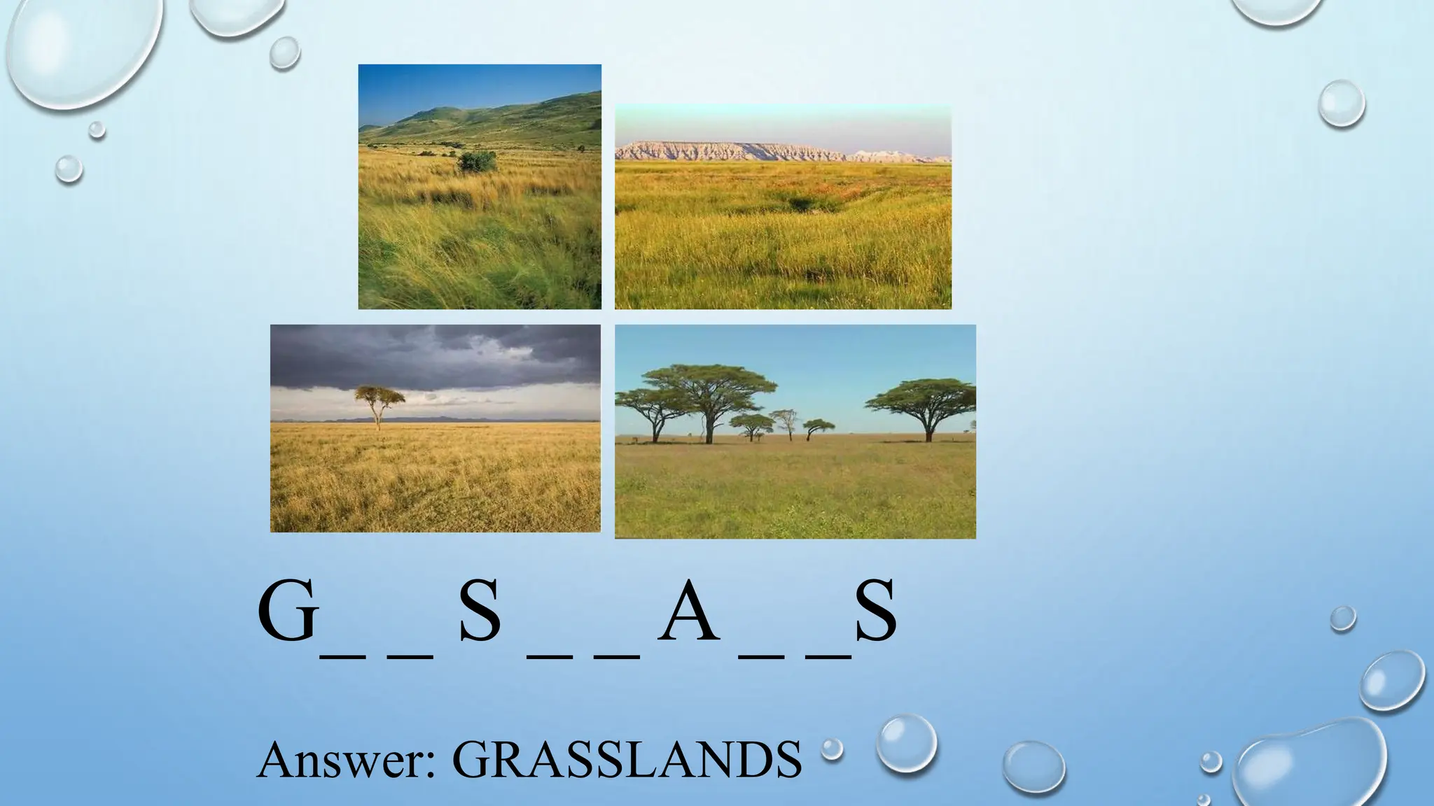 Tropical-Grasslands people and ecosystem | PPTX