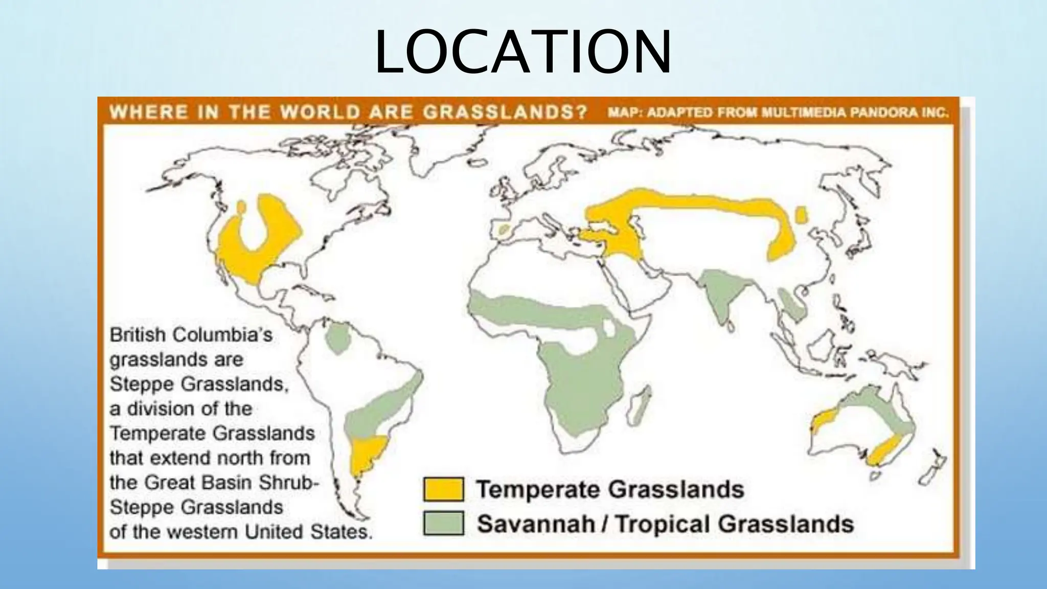 Tropical-Grasslands people and ecosystem | PPTX