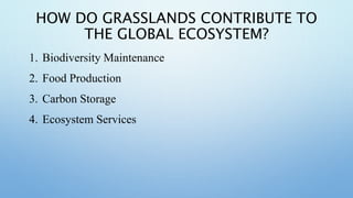 Tropical-Grasslands people and ecosystem | PPTX