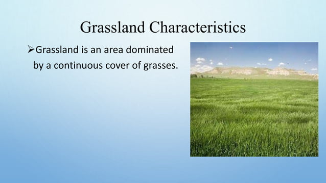 Tropical-Grasslands people and ecosystem | PPTX