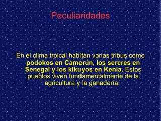 Tropical. José Luis y Óscar | PPT