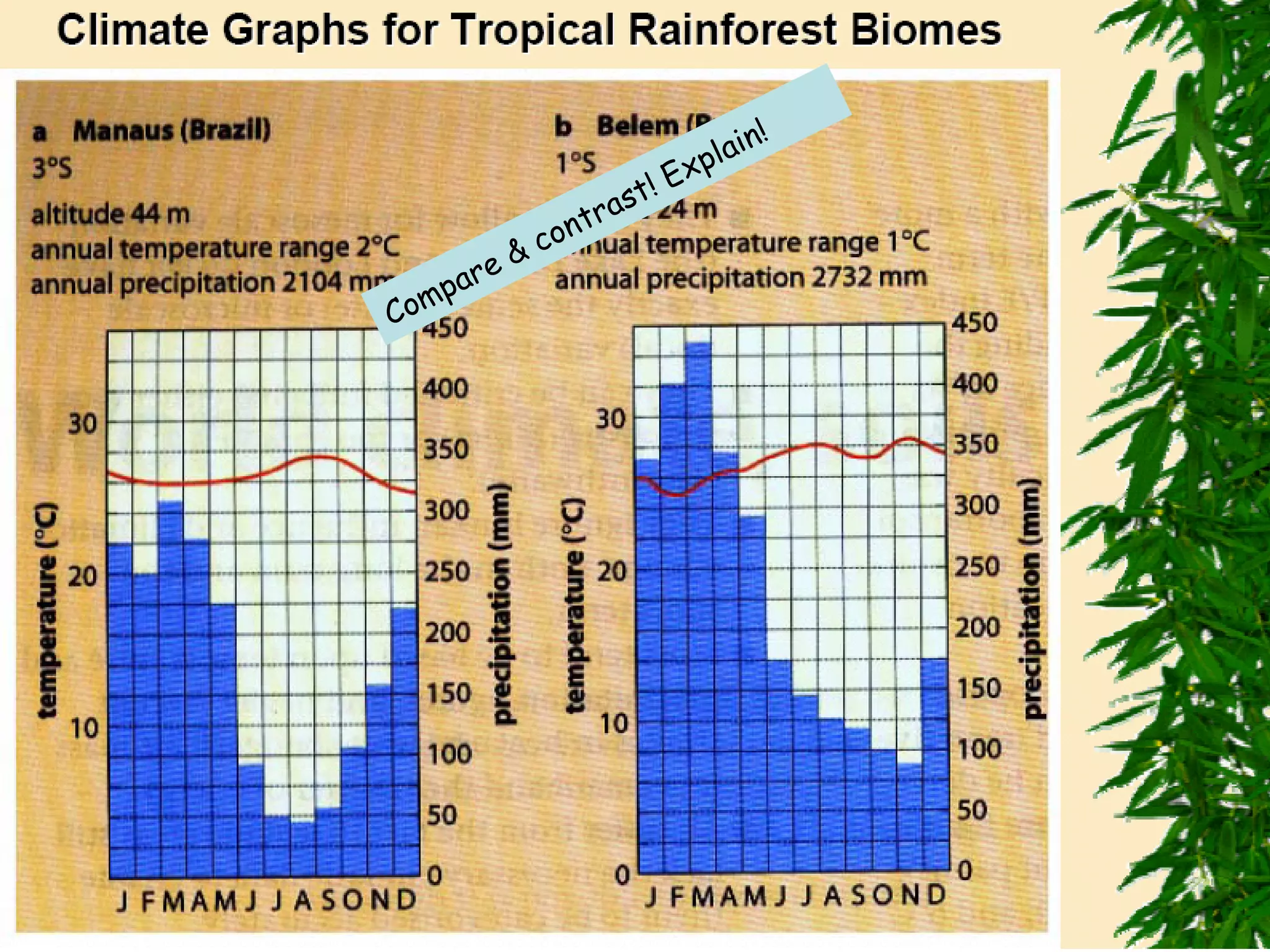 Tropical Rainforest Introduction | PPT