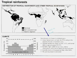 Tropical Rainforest Introduction | PPT