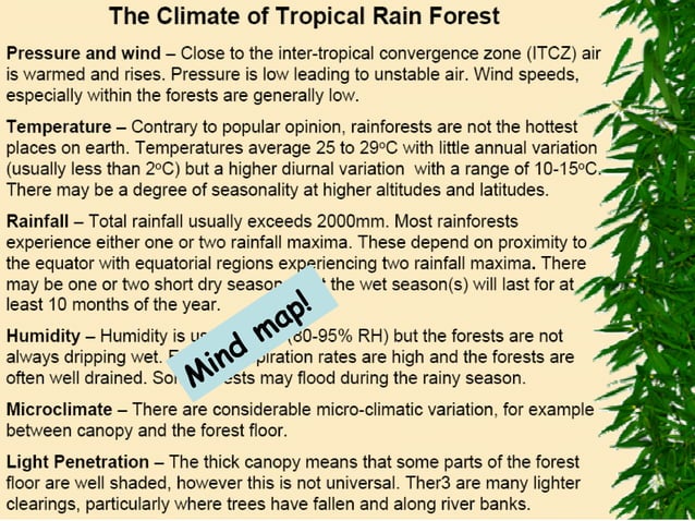 Tropical Rainforest Introduction | PPT