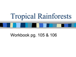 Sec 1 Exp - Tropical Rainforests | PPT