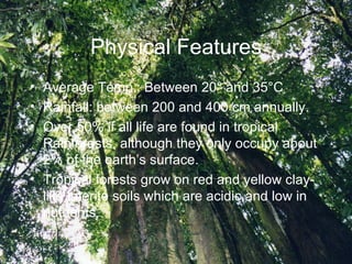 Tropical Rainforests | PPT