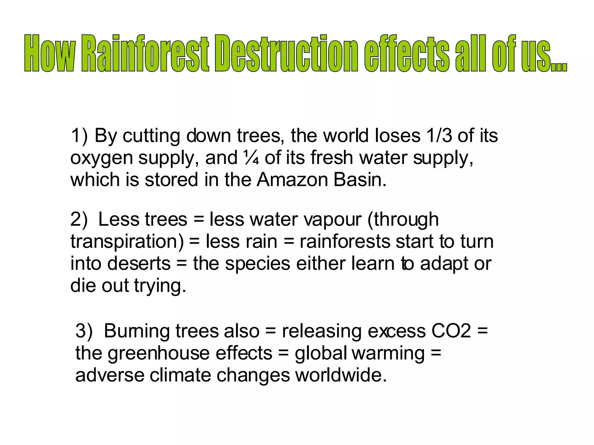 Tropical Rainforests Intro | PPT | Geography | Science