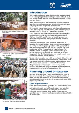 Tropical beef production manual (australia) | PDF