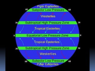 Tropical circulation | PPT
