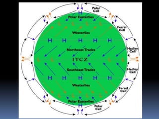 Tropical circulation | PPT