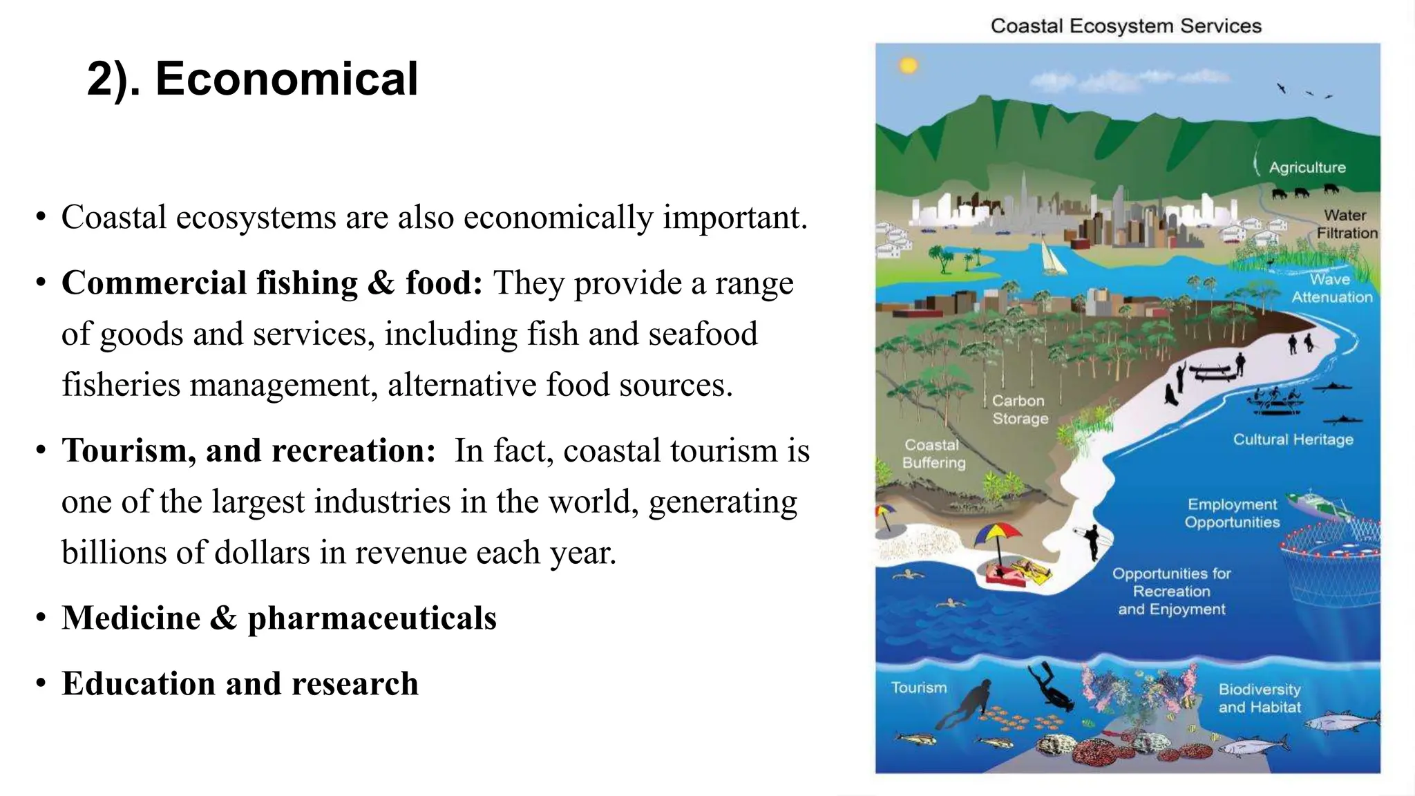 Tropical coastal ecosystems...........pptx