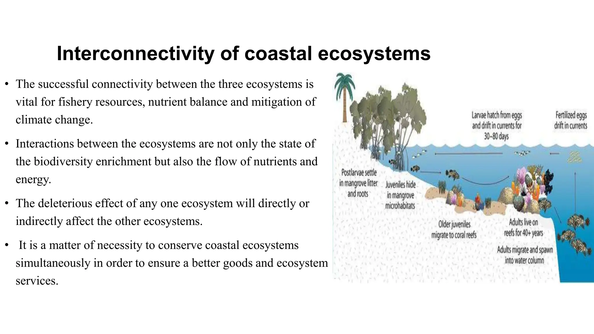 Tropical coastal ecosystems...........pptx