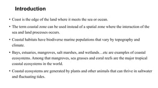 Tropical coastal ecosystems...........pptx