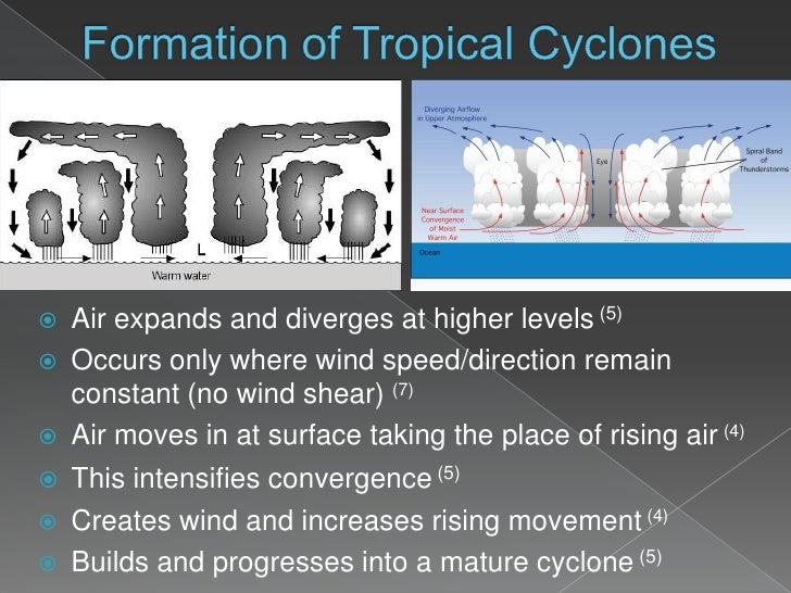 The Physical Characteristics of Tropical Cyclones